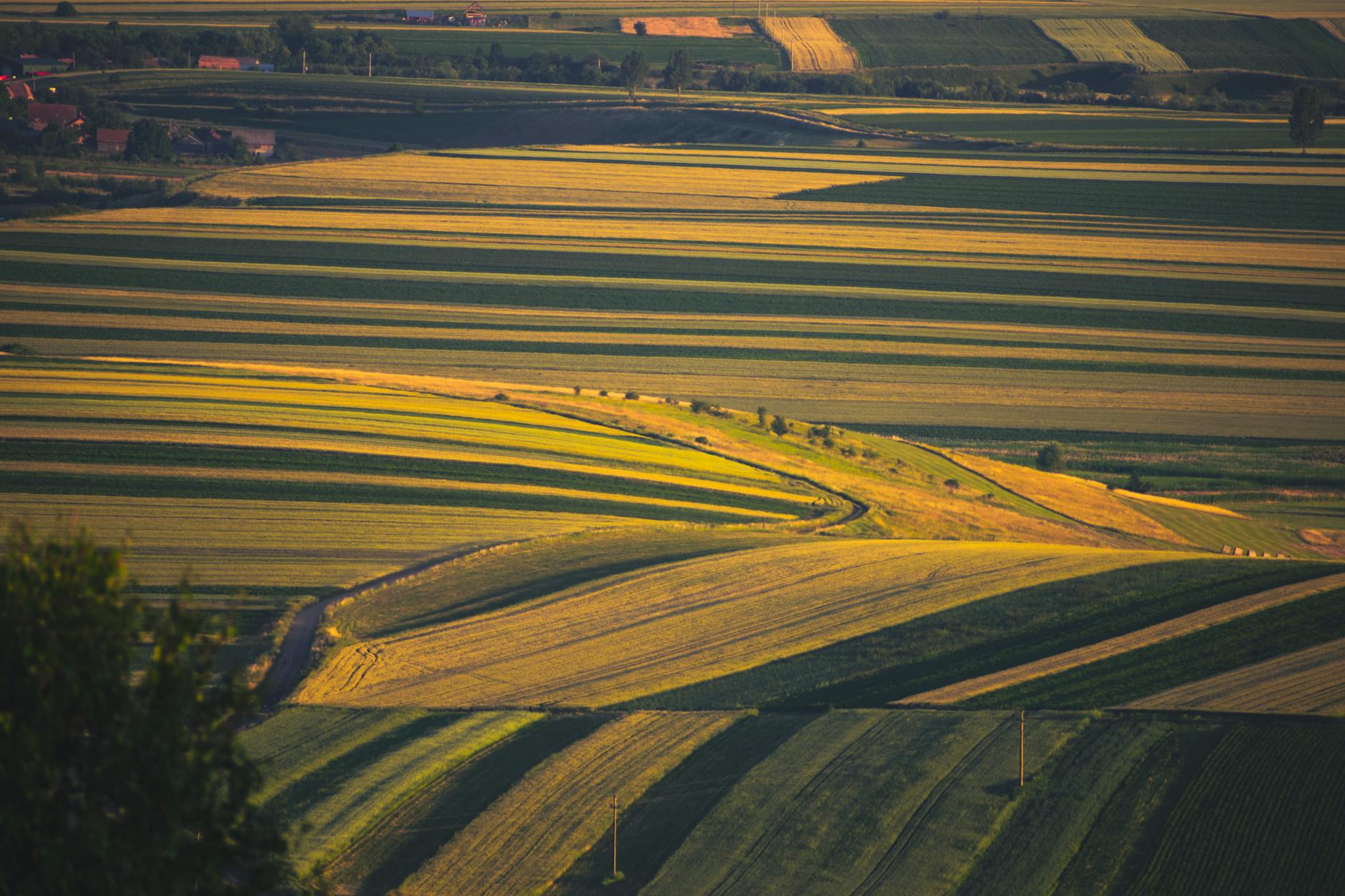 Flora unică a Deltei Dunării: plante specifice și habitate naturale ...
