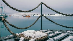 Flora unică a Deltei Dunării: plante specifice și habitate naturale ...